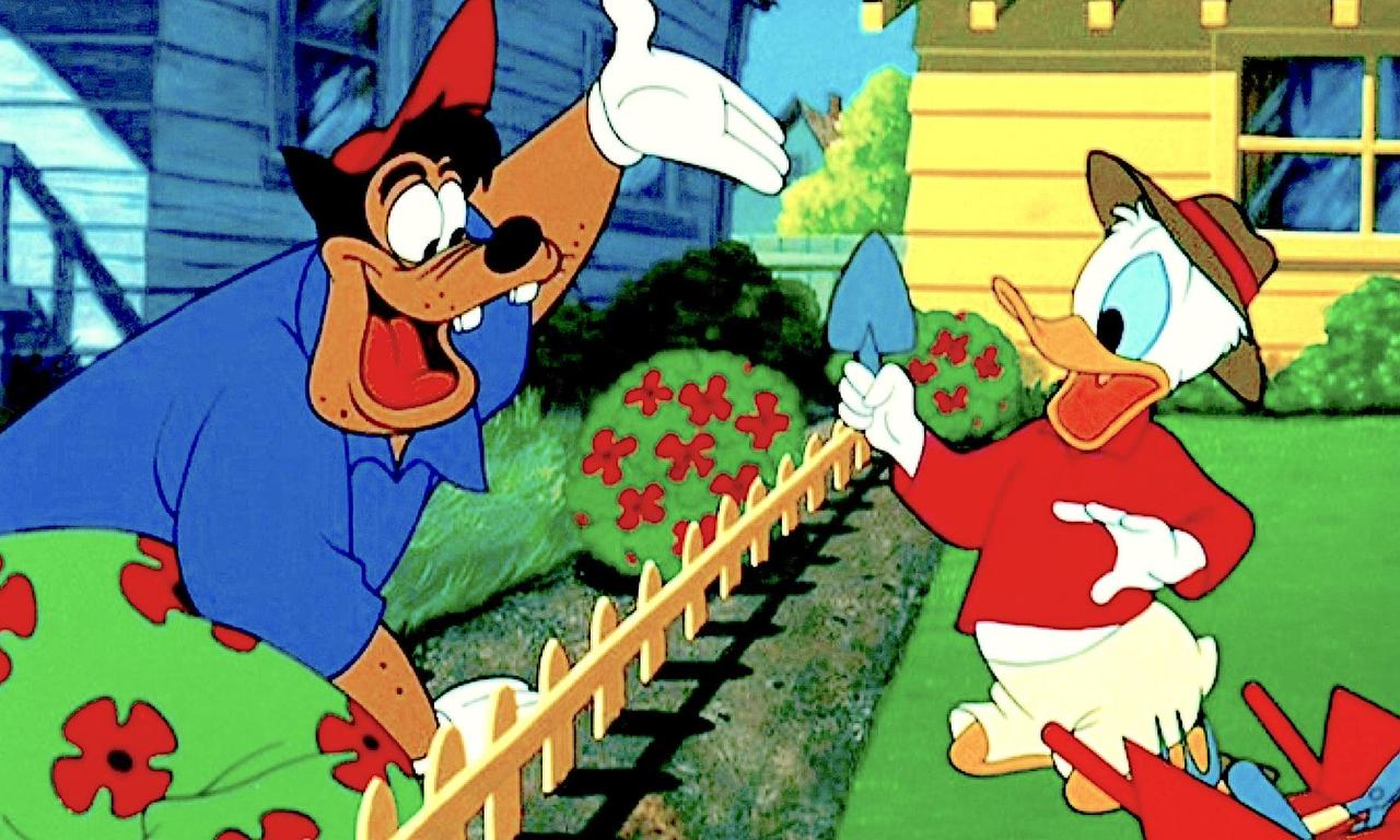 The New Neighbor - Where to Watch and Stream Online – Entertainment.ie