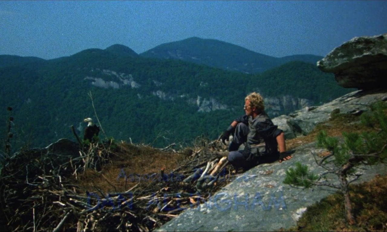 A Breed Apart - Where to Watch and Stream Online – Entertainment.ie