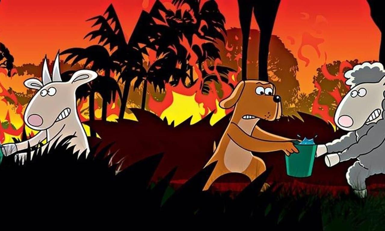 Brichos: A Floresta é Nossa - Where to Watch and Stream Online ...