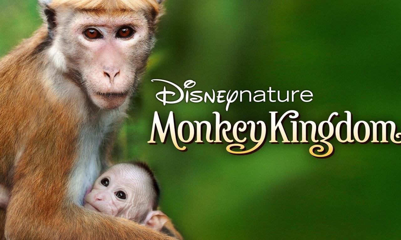 Monkey Kingdom - Where to Watch and Stream Online – Entertainment.ie