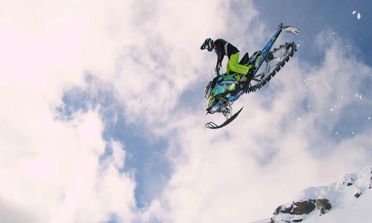 509 Films: Volume 12 - Where to Watch and Stream Online – Entertainment.ie