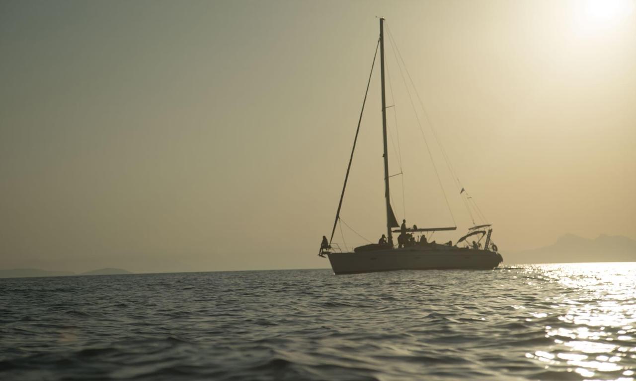 Into the Wind - Where to Watch and Stream Online – Entertainment.ie