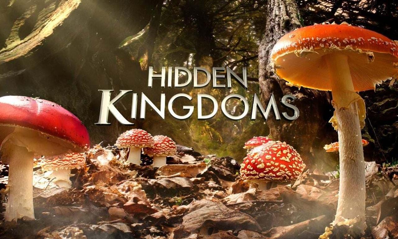 Hidden Kingdoms - Where to Watch and Stream Online – Entertainment.ie