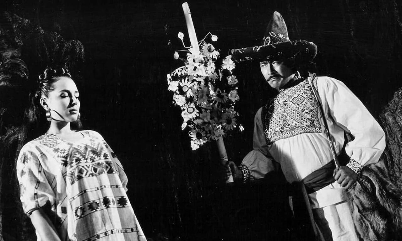 The Important Man - Where to Watch and Stream Online – Entertainment.ie