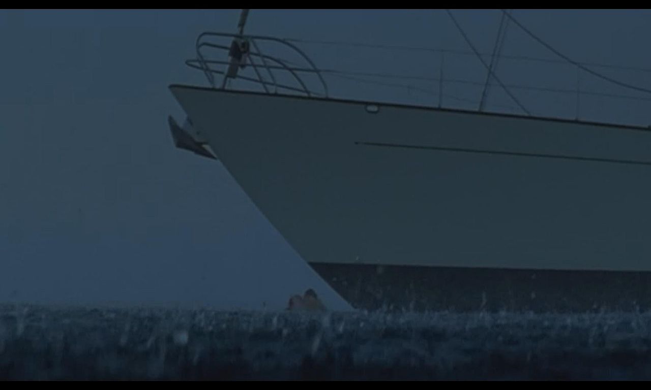 Open Water 2: Adrift - Where to Watch and Stream Online – Entertainment.ie