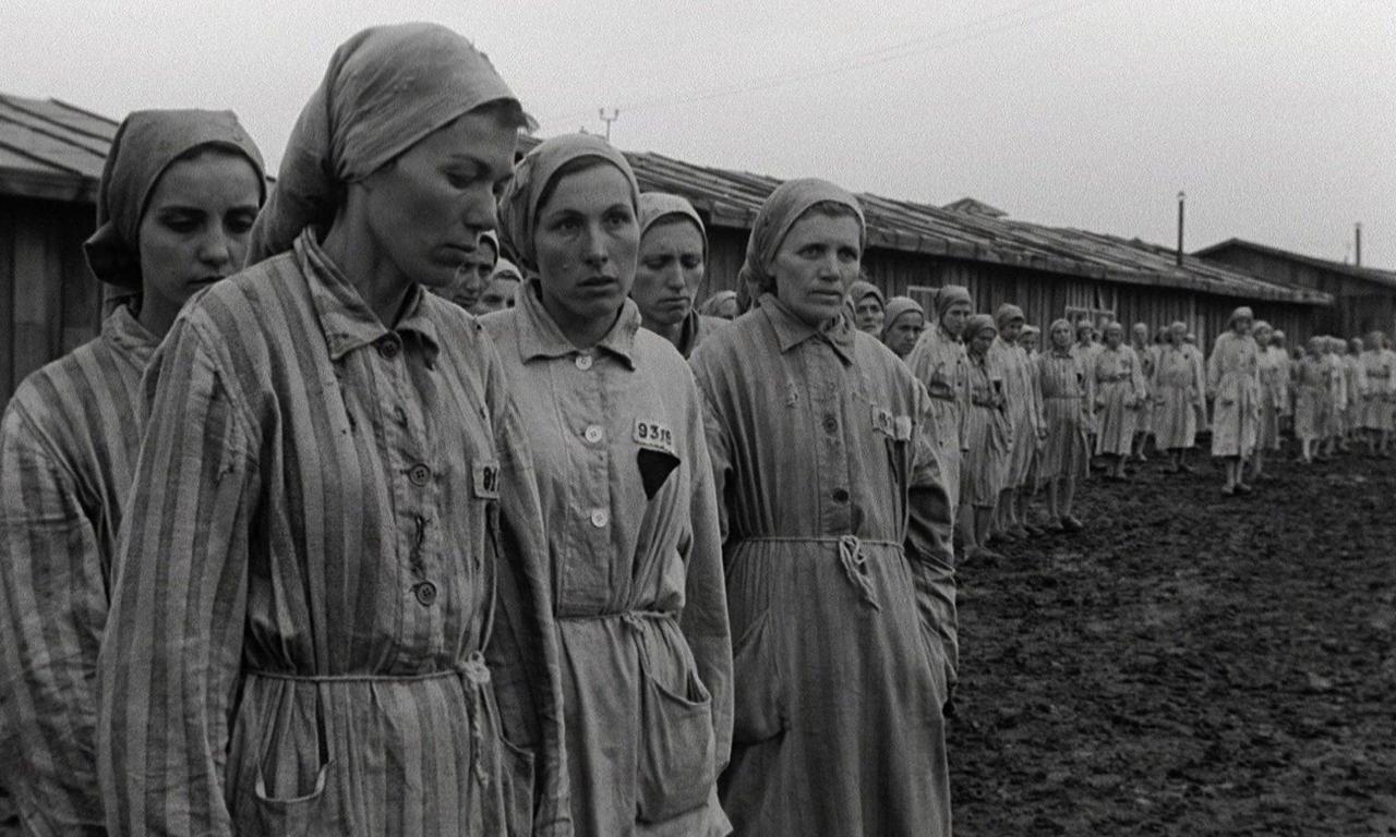 Kapo - Where to Watch and Stream Online – Entertainment.ie