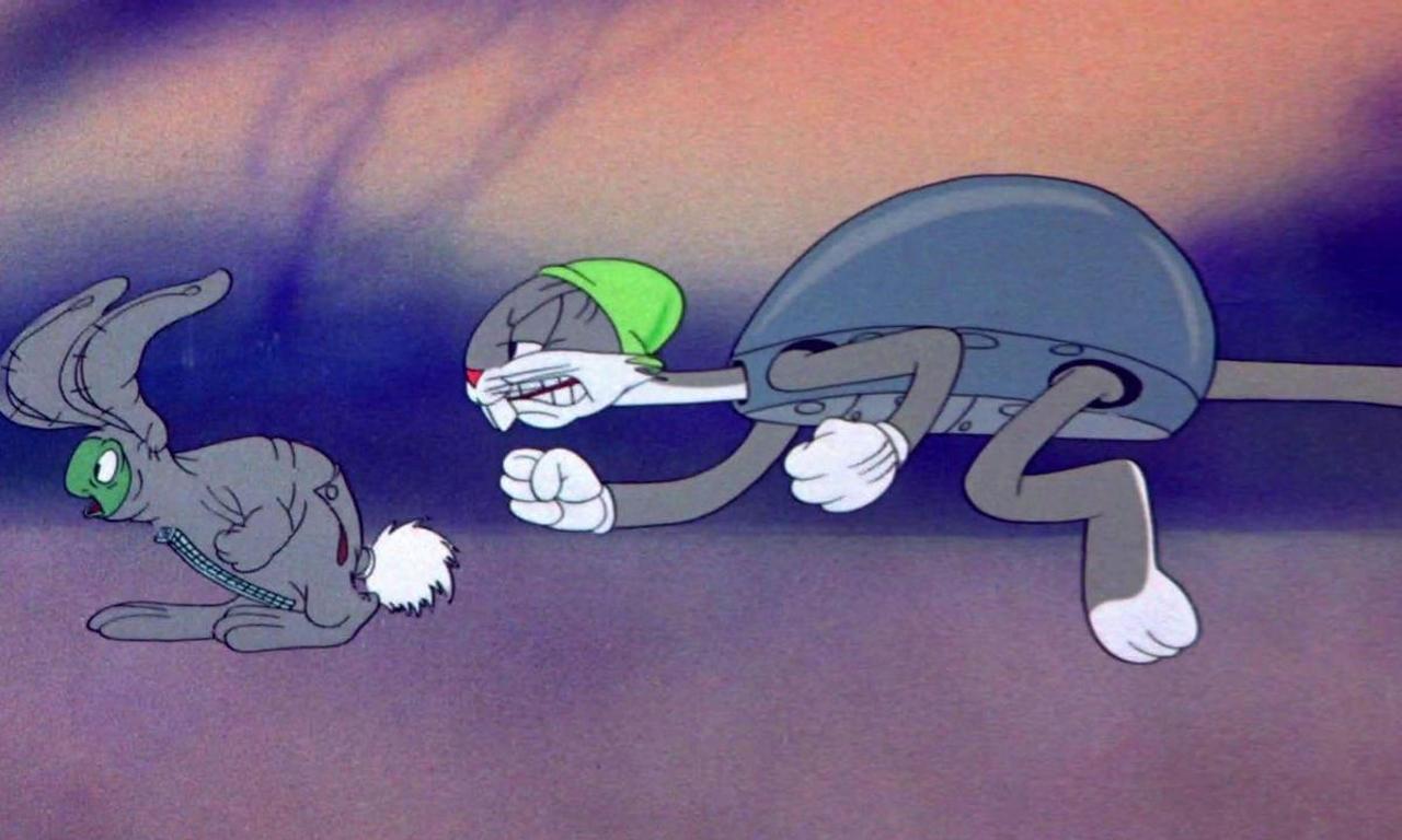 Tortoise Wins by a Hare - Where to Watch and Stream Online ...