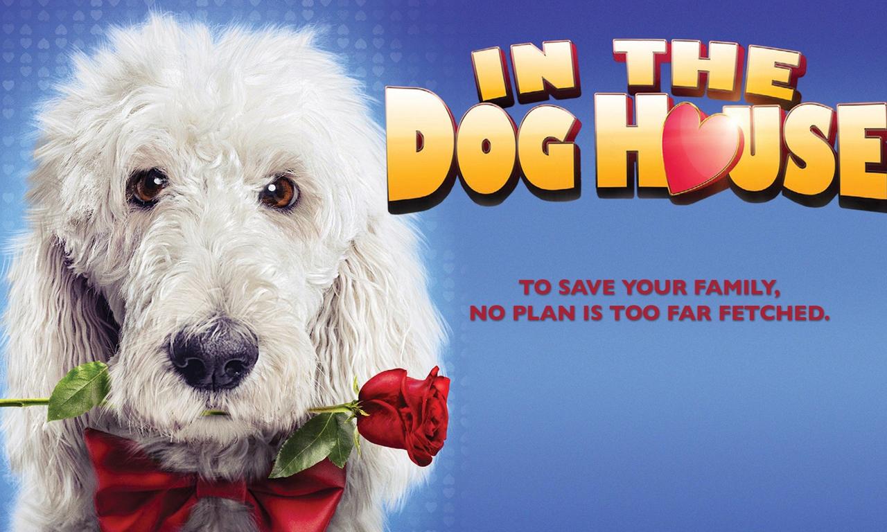 In the Dog House - Where to Watch and Stream Online – Entertainment.ie