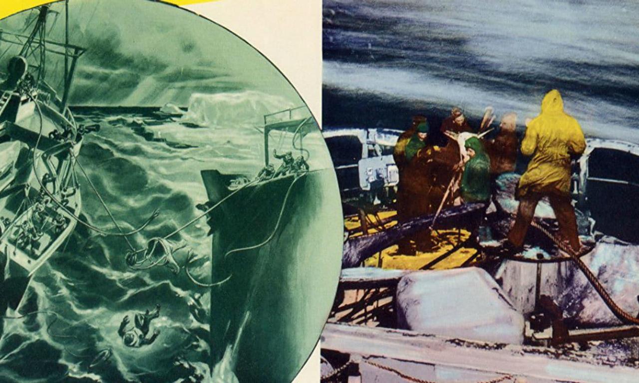 The Secret Land - Where to Watch and Stream Online – Entertainment.ie