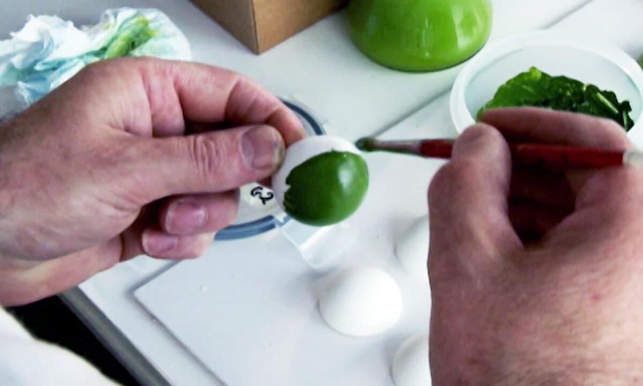 Peter Monaghan: A Portrait - Where to Watch and Stream Online ...