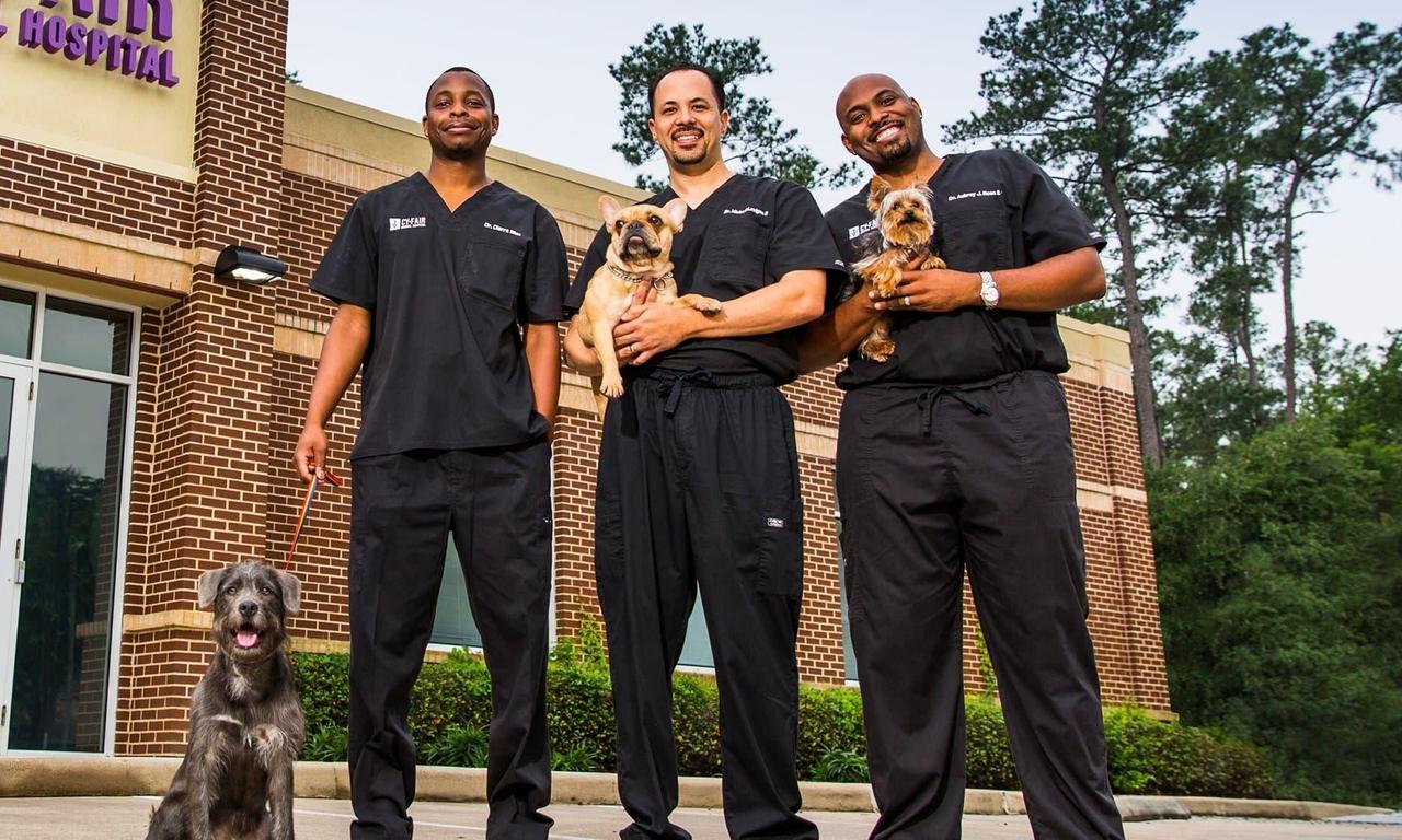 The Vet Life - Where to Watch and Stream Online – Entertainment.ie