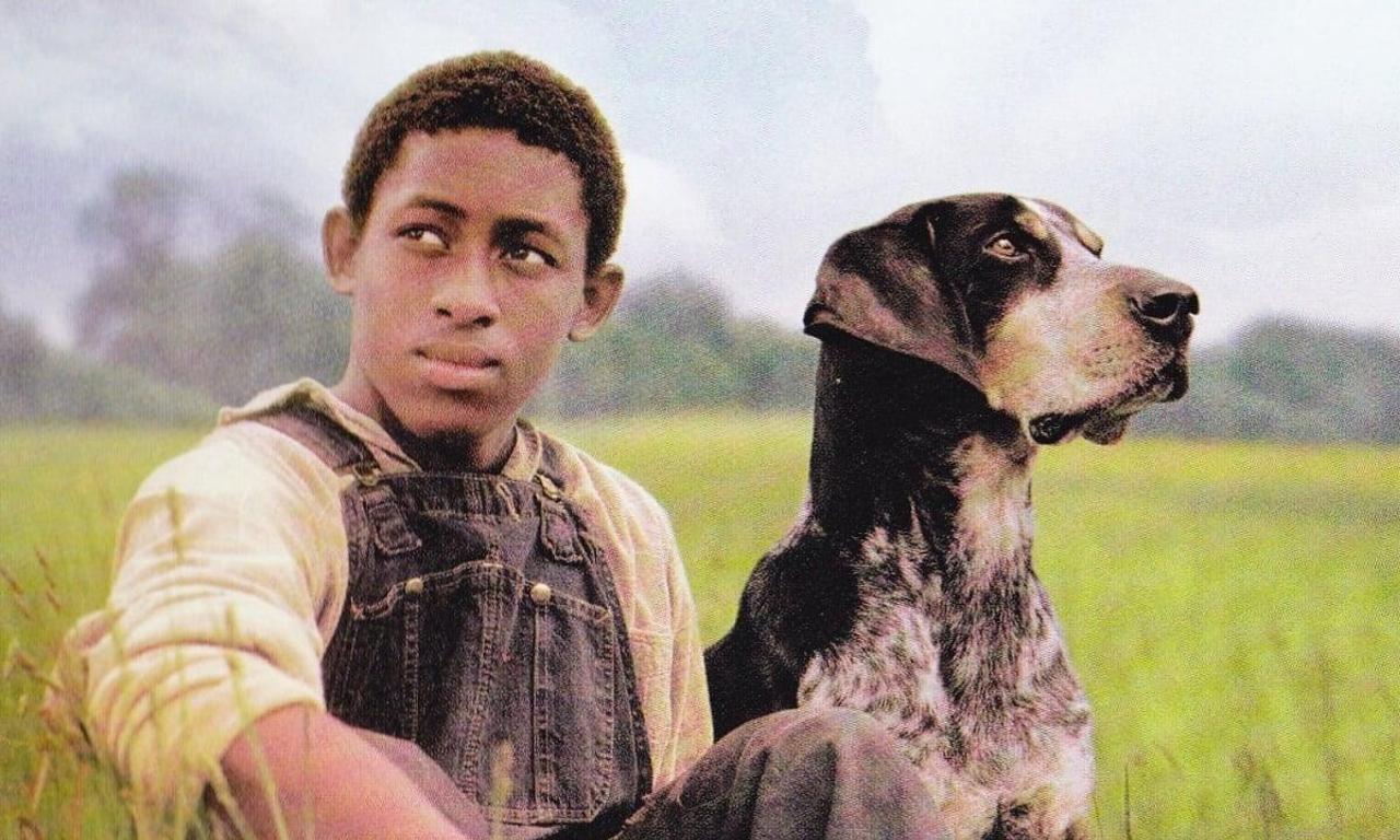 Sounder - Where to Watch and Stream Online – Entertainment.ie