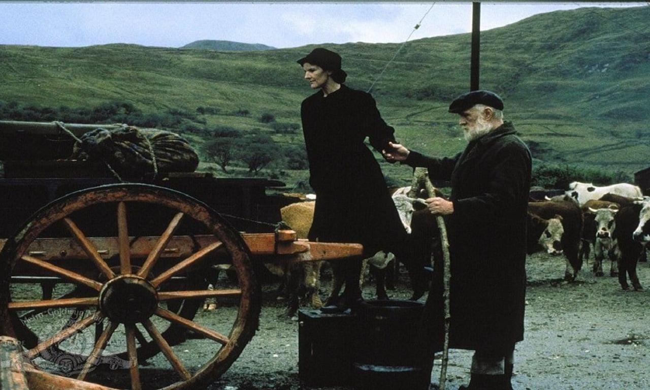 The Field - Where to Watch and Stream Online – Entertainment.ie