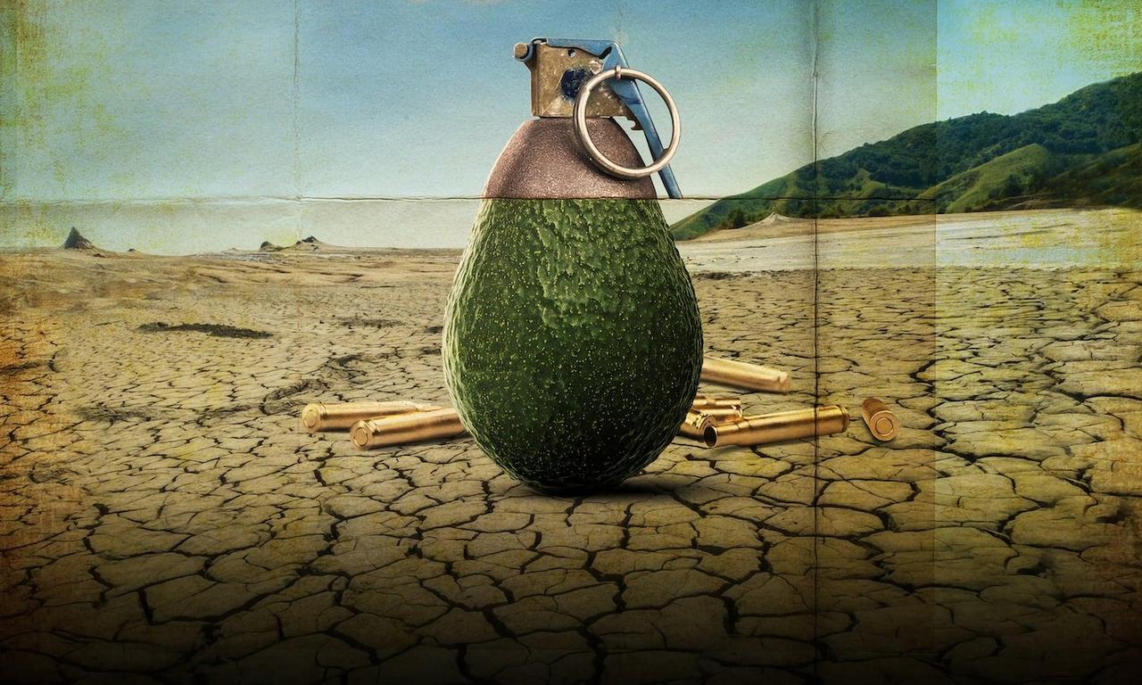 Rotten - Where to Watch and Stream Online – Entertainment.ie