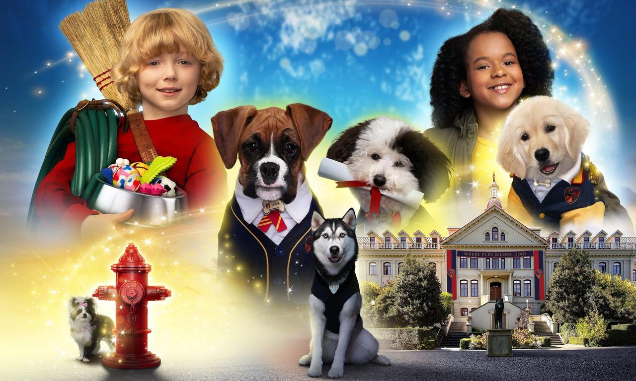 Pup Academy - Where to Watch and Stream Online – Entertainment.ie