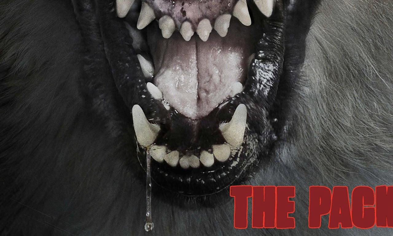 The Pack - Where to Watch and Stream Online – Entertainment.ie