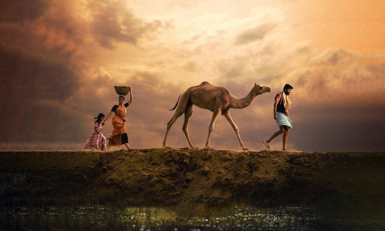 Bakrid - Where to Watch and Stream Online – Entertainment.ie