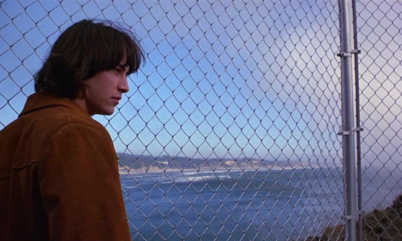 Permanent Record - Where to Watch and Stream Online – Entertainment.ie