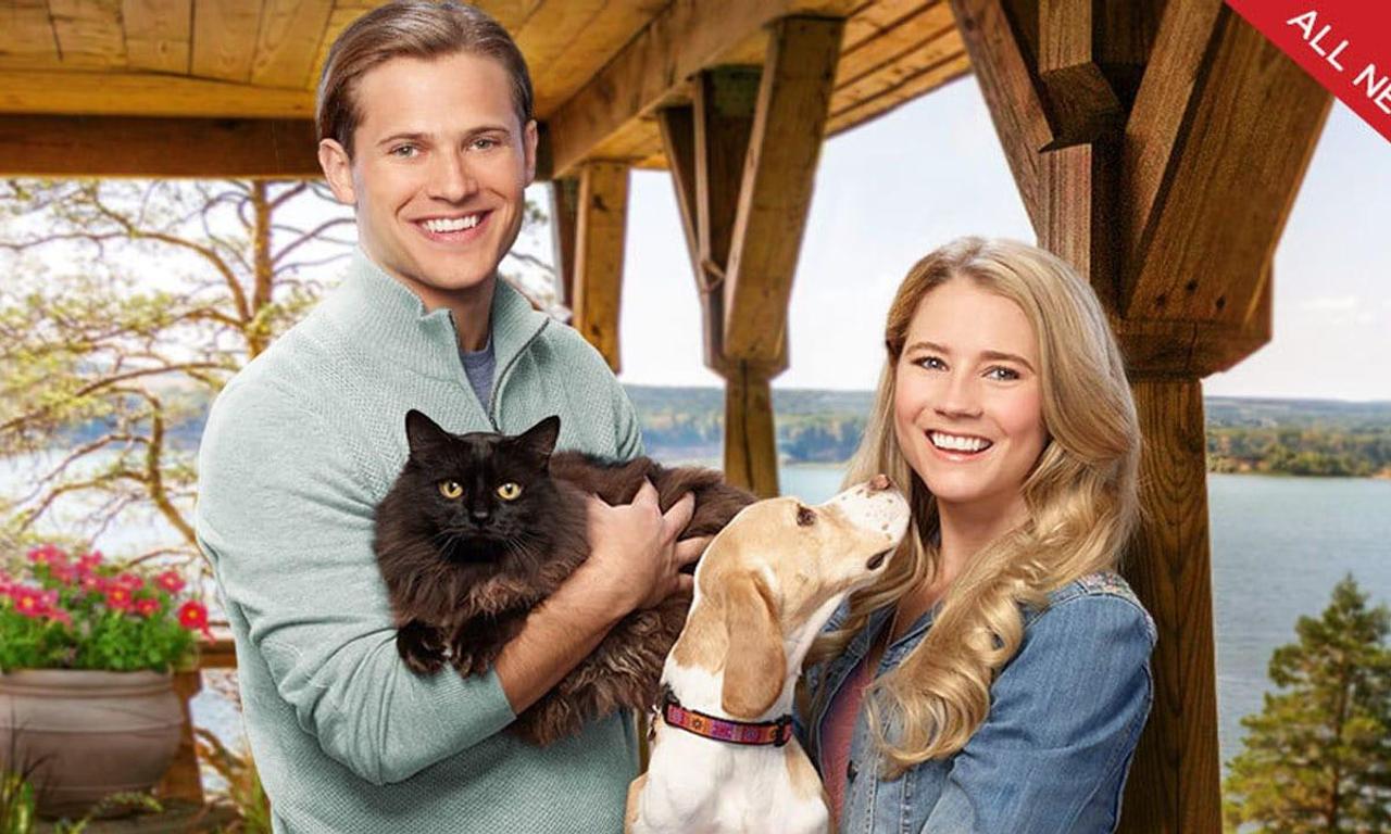 Like Cats & Dogs - Where to Watch and Stream Online – Entertainment.ie