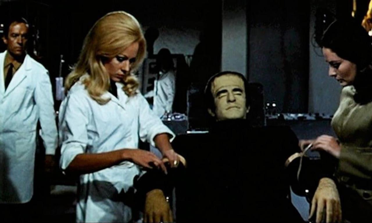 Assignment Terror - Where to Watch and Stream Online – Entertainment.ie