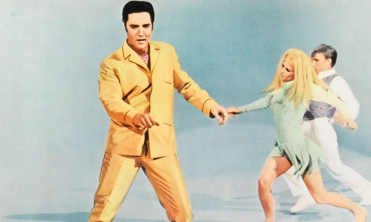 Live a Little, Love a Little - Where to Watch and Stream Online ...