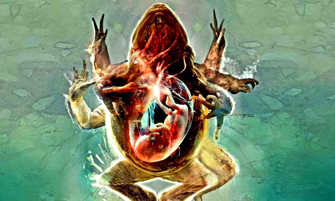 Strange Nature - Where to Watch and Stream Online – Entertainment.ie