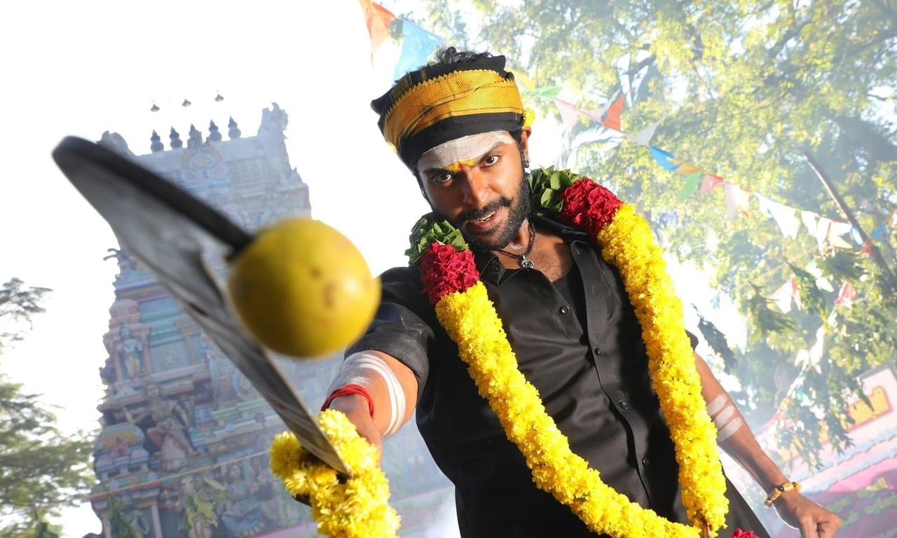 Pakka - Where to Watch and Stream Online – Entertainment.ie