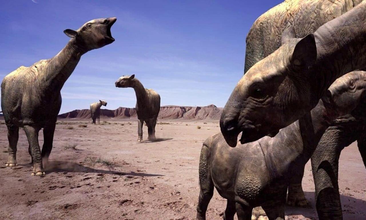 Walking with Beasts - Where to Watch and Stream Online – Entertainment.ie