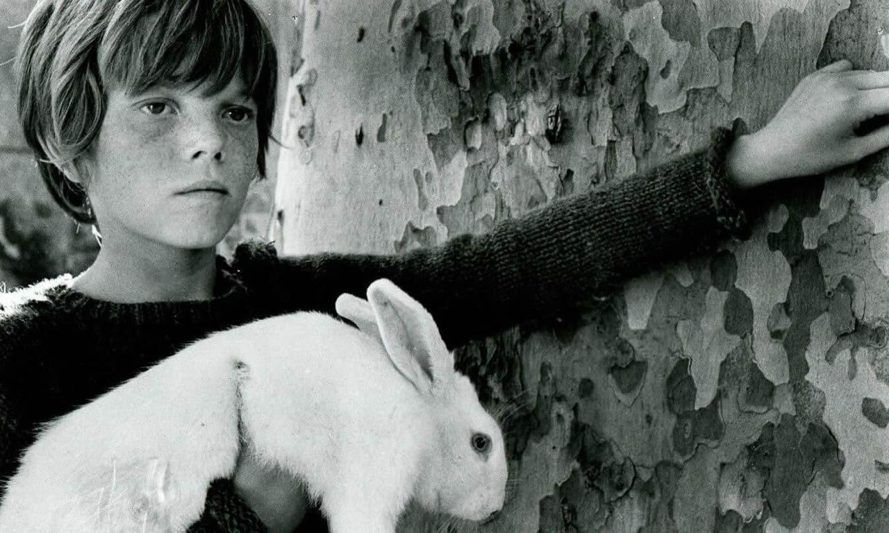 Secret World - Where to Watch and Stream Online – Entertainment.ie