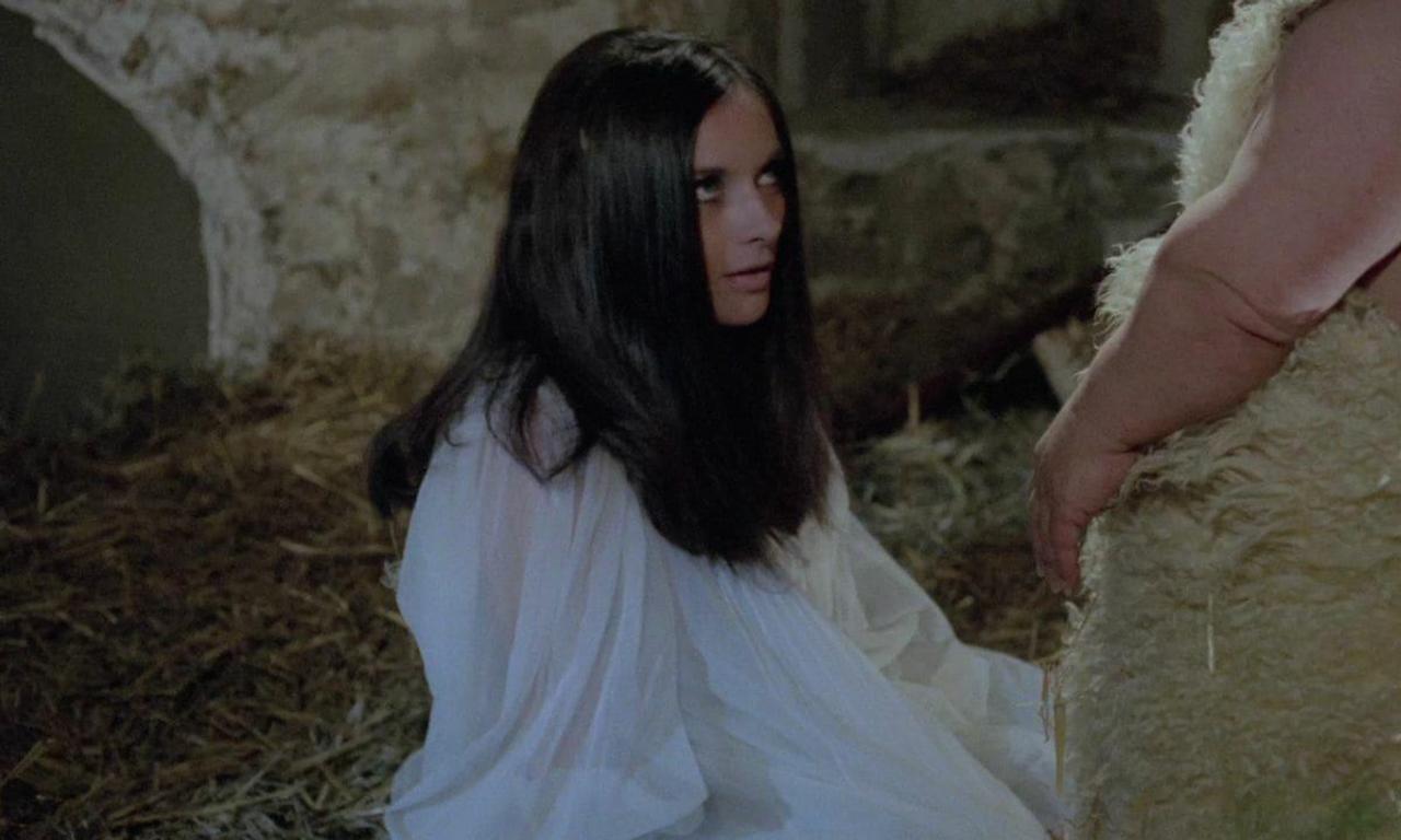 The Blood Rose - Where to Watch and Stream Online – Entertainment.ie