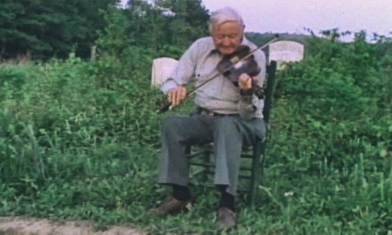 Sprout Wings and Fly - Where to Watch and Stream Online – Entertainment.ie