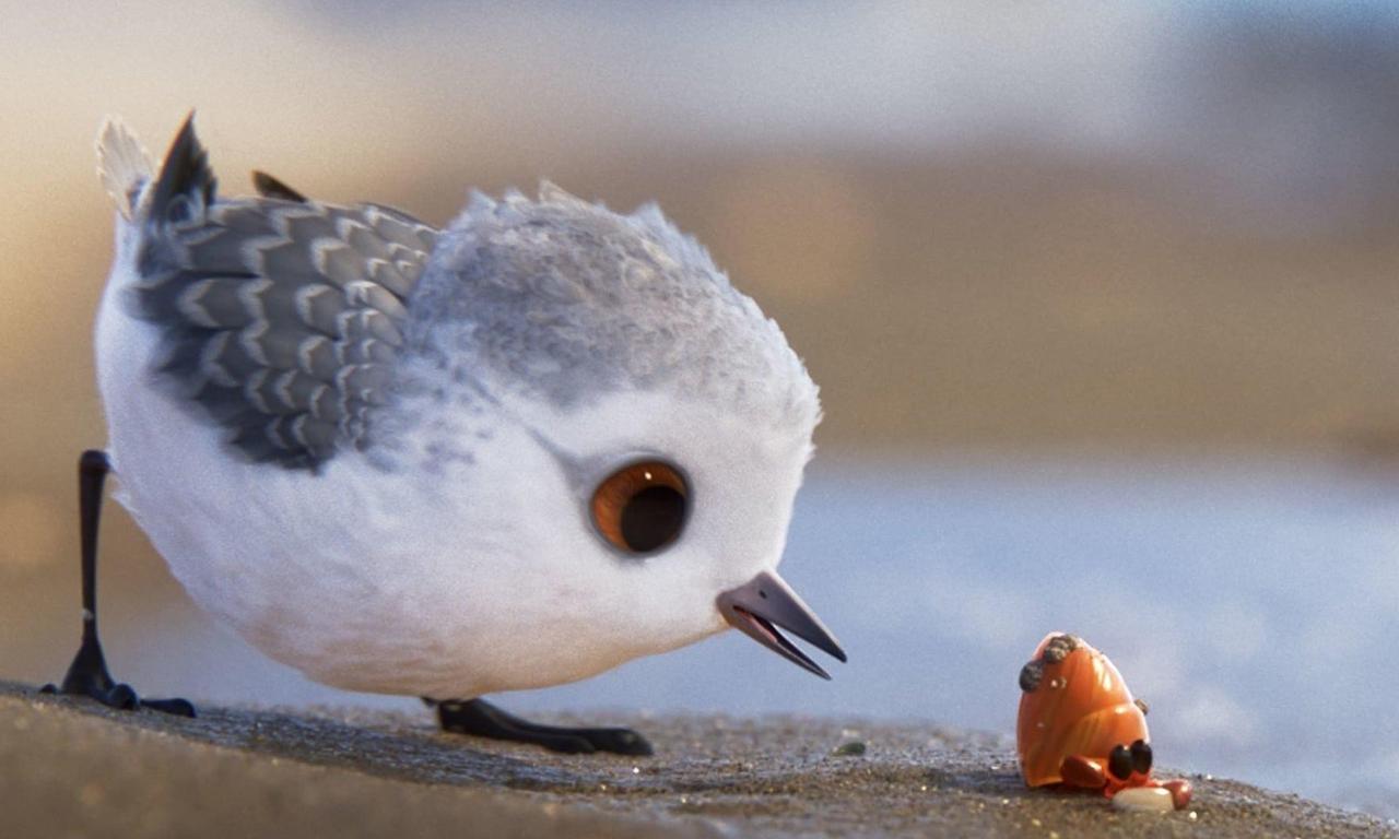 Piper - Where to Watch and Stream Online – Entertainment.ie