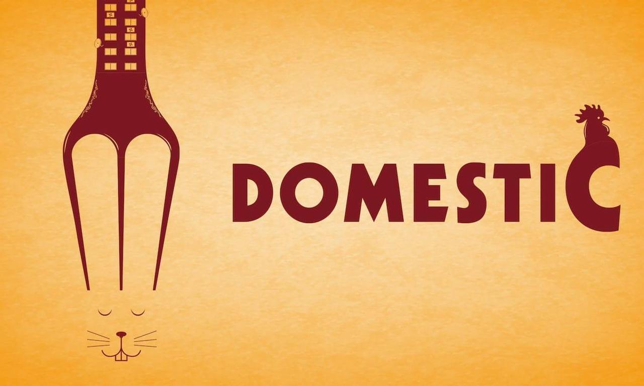 Domestic - Where to Watch and Stream Online – Entertainment.ie