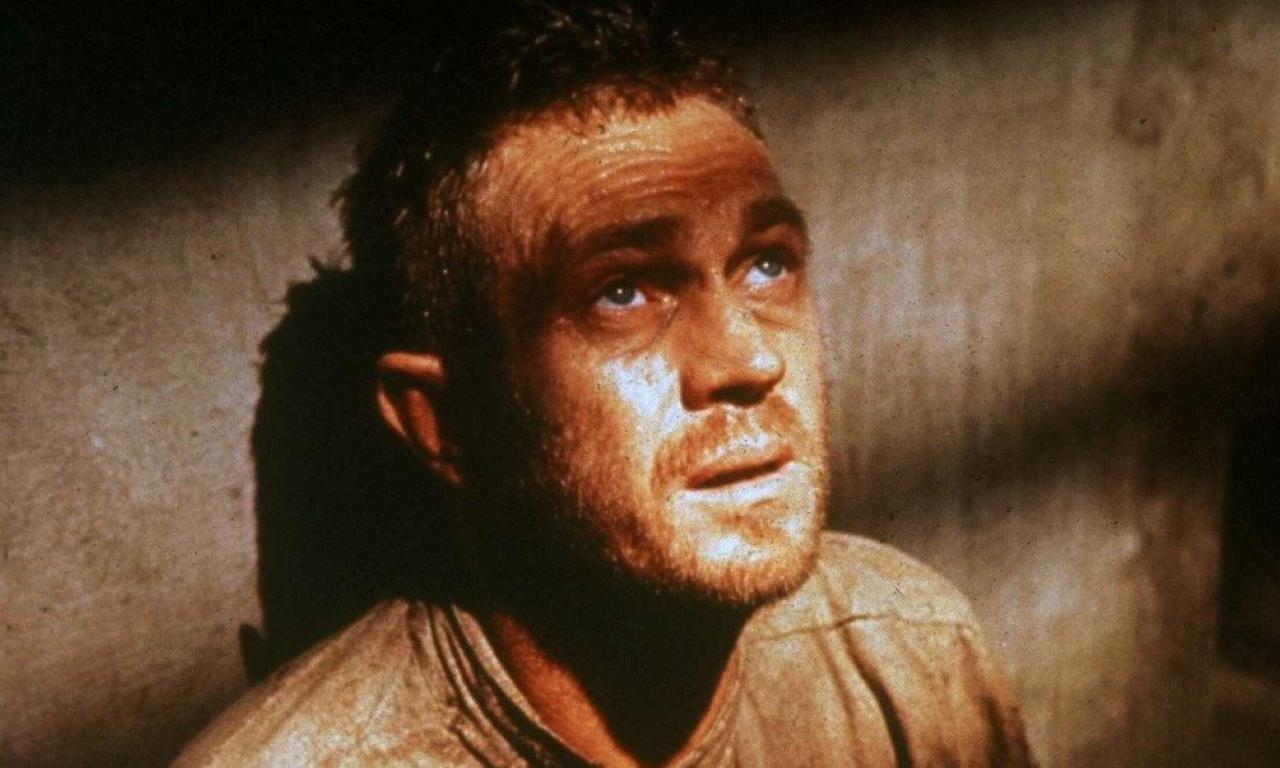 Papillon - Where to Watch and Stream Online – Entertainment.ie