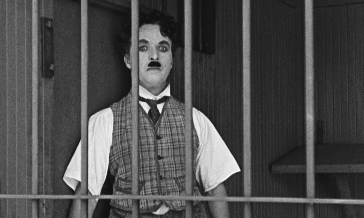 The Circus - Where to Watch and Stream Online – Entertainment.ie