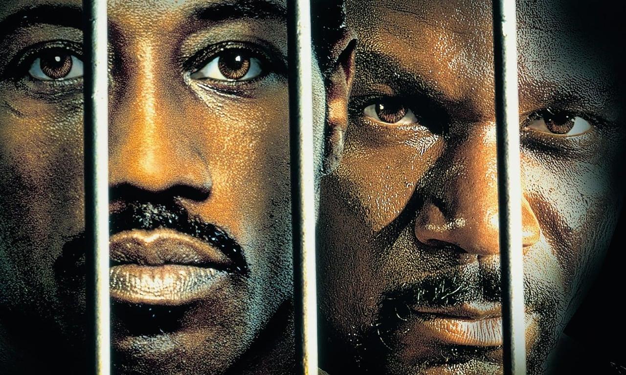Undisputed - Where to Watch and Stream Online – Entertainment.ie