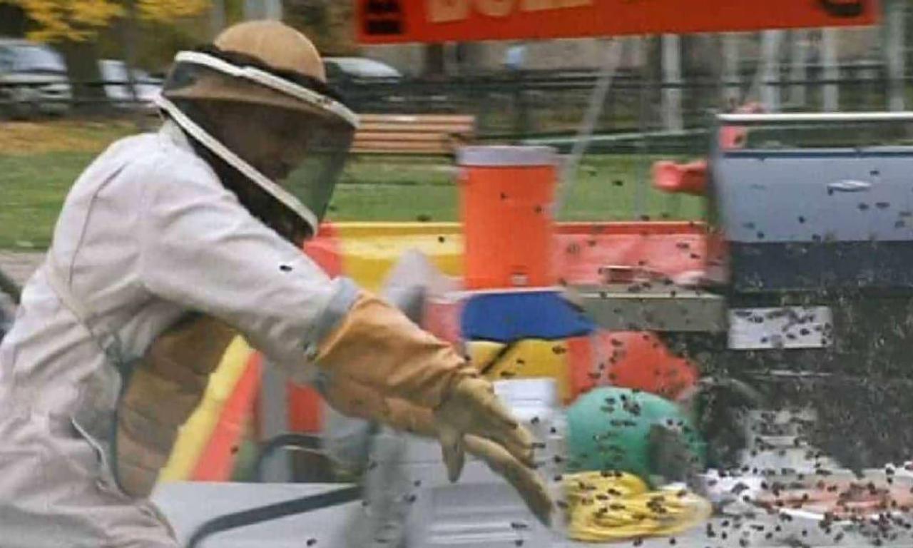 Swarmed - Where to Watch and Stream Online – Entertainment.ie