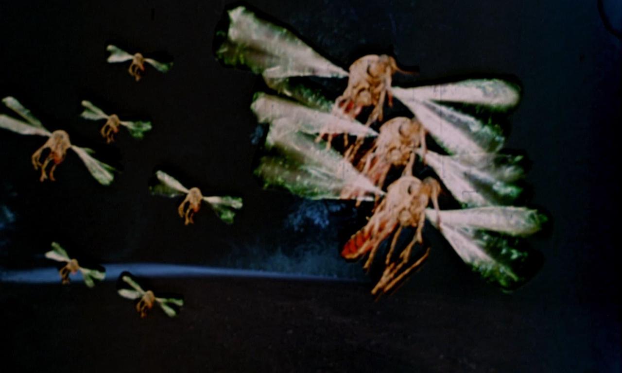 Mosquito - Where to Watch and Stream Online – Entertainment.ie