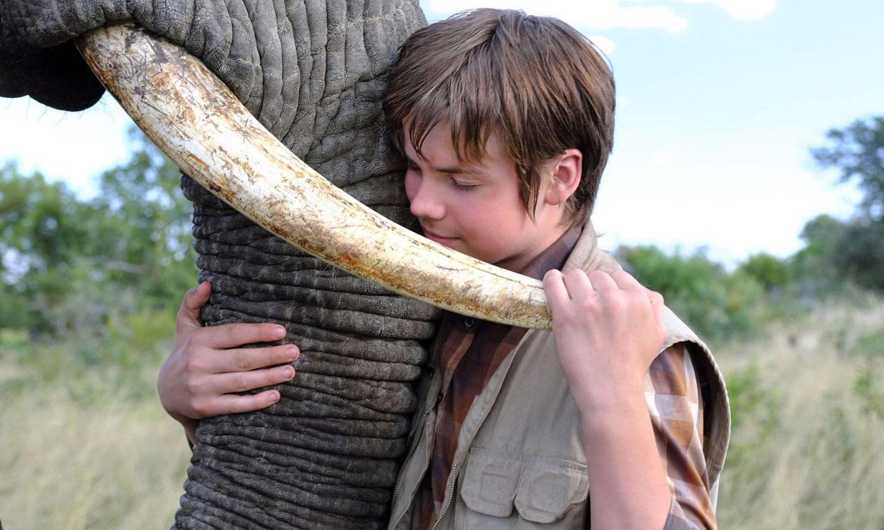An Elephant's Journey - Where to Watch and Stream Online – Entertainment.ie