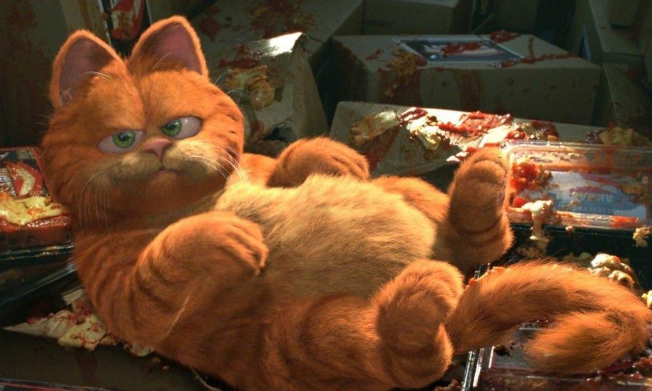 Garfield - Where to Watch and Stream Online – Entertainment.ie
