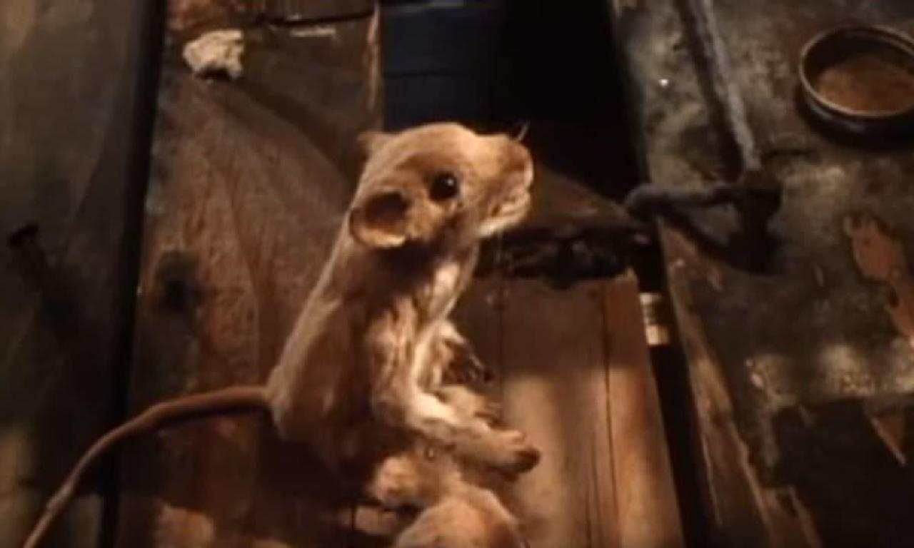 The Mouse and the Motorcycle - Where to Watch and Stream Online ...