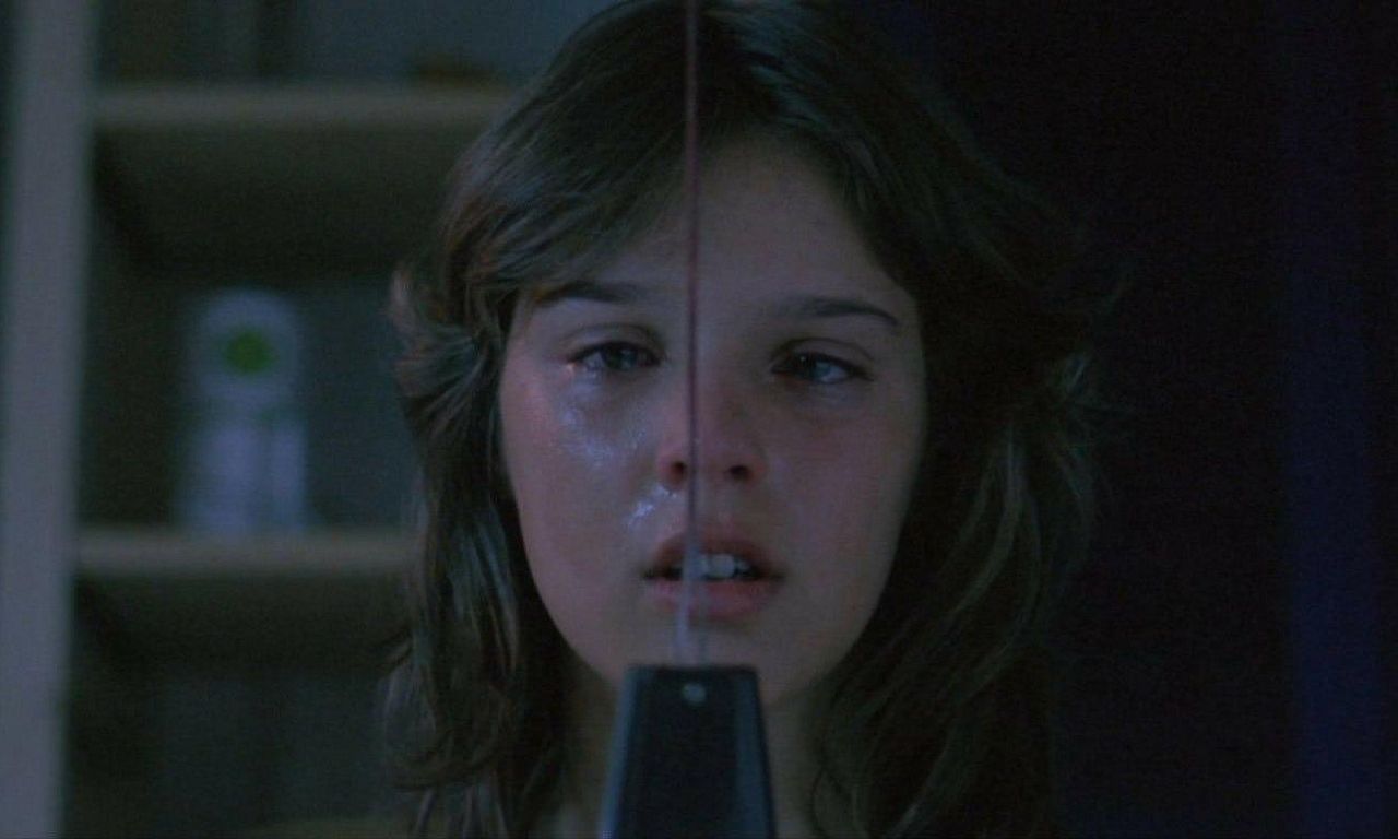 The Fan - Where to Watch and Stream Online – Entertainment.ie