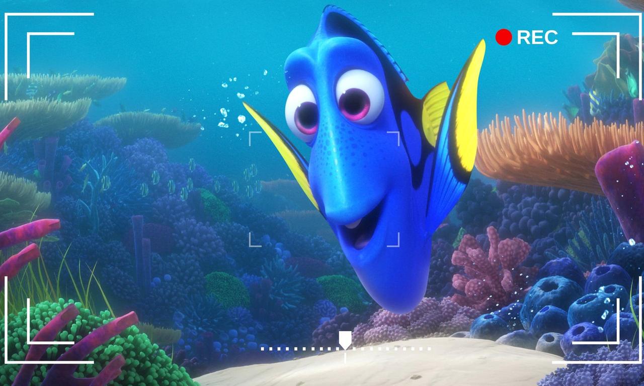 Dory's Reef Cam - Where to Watch and Stream Online – Entertainment.ie