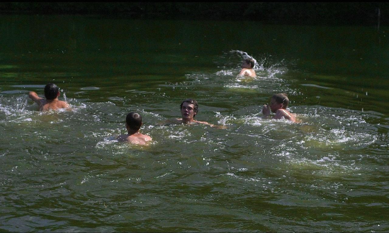 Little Bird - Where to Watch and Stream Online – Entertainment.ie