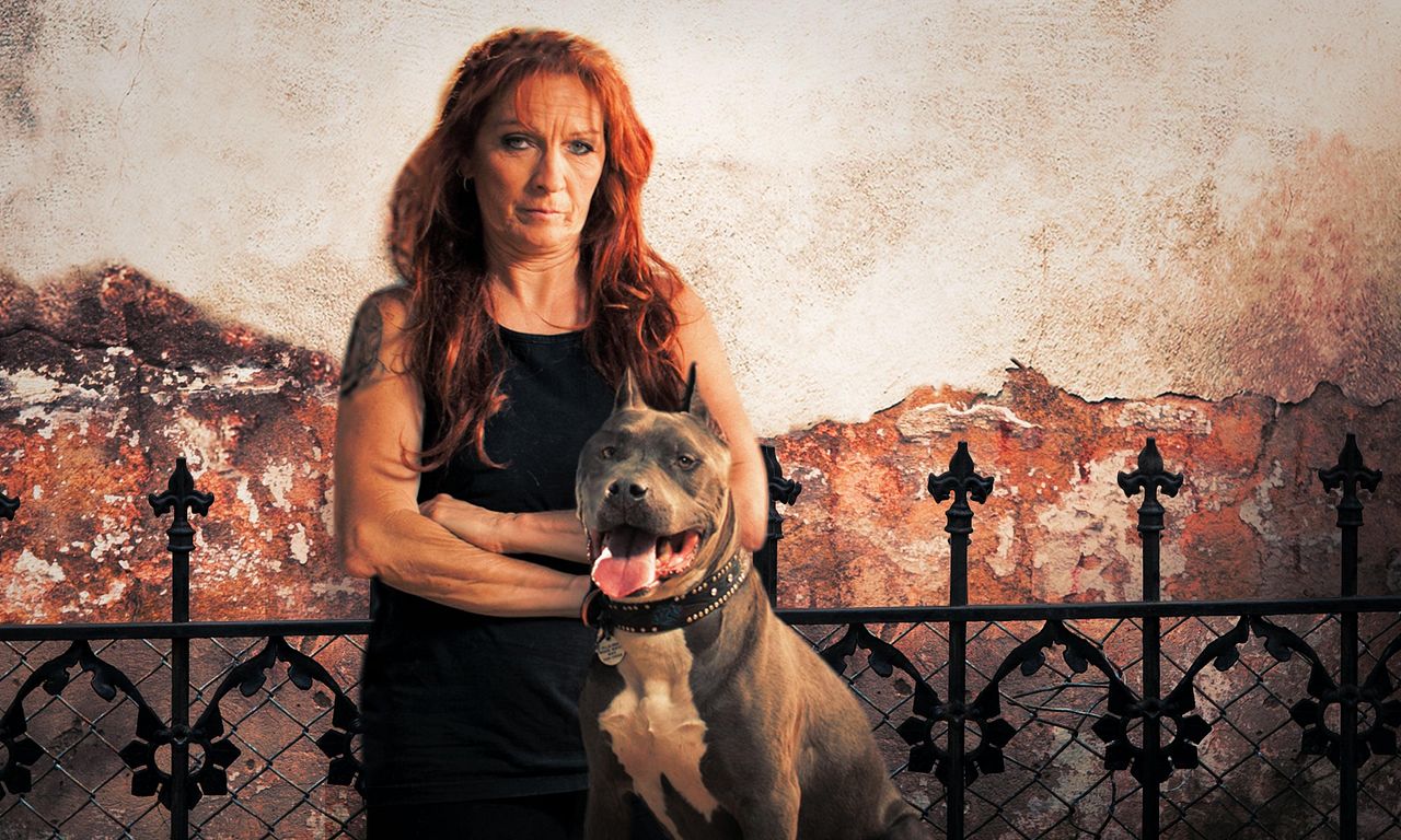 Pit Bulls and Parolees - Where to Watch and Stream Online ...