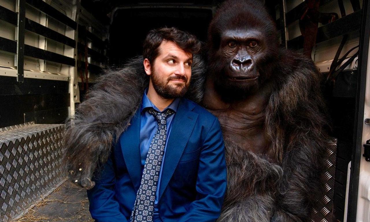 Beware the Gorilla - Where to Watch and Stream Online – Entertainment.ie