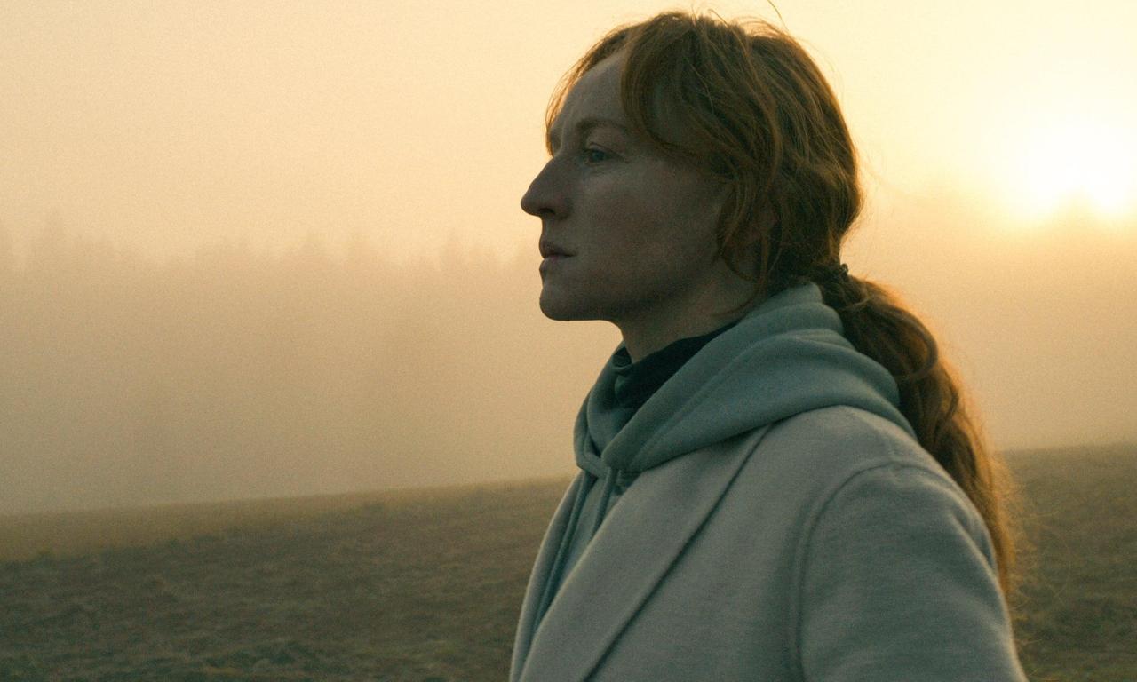 Wald - Where to Watch and Stream Online – Entertainment.ie