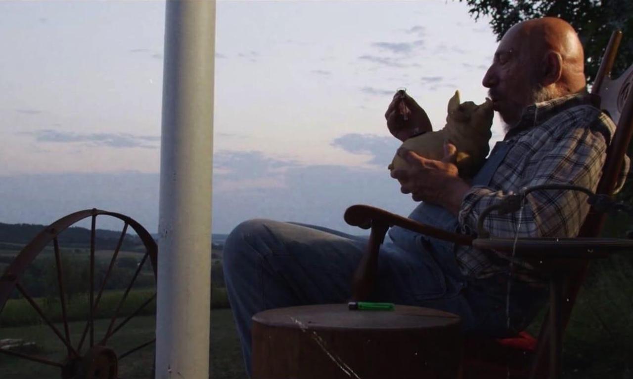 High on the Hog - Where to Watch and Stream Online – Entertainment.ie