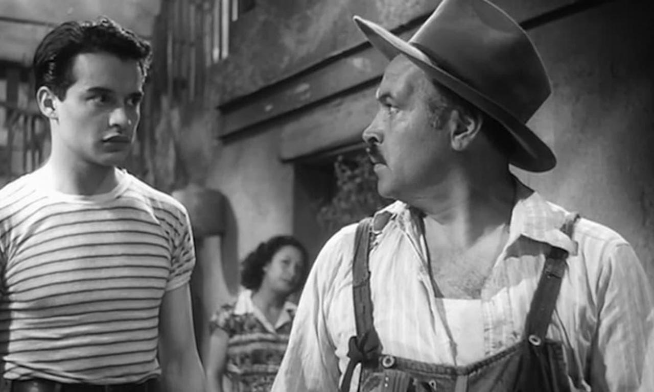 The Brute - Where to Watch and Stream Online – Entertainment.ie