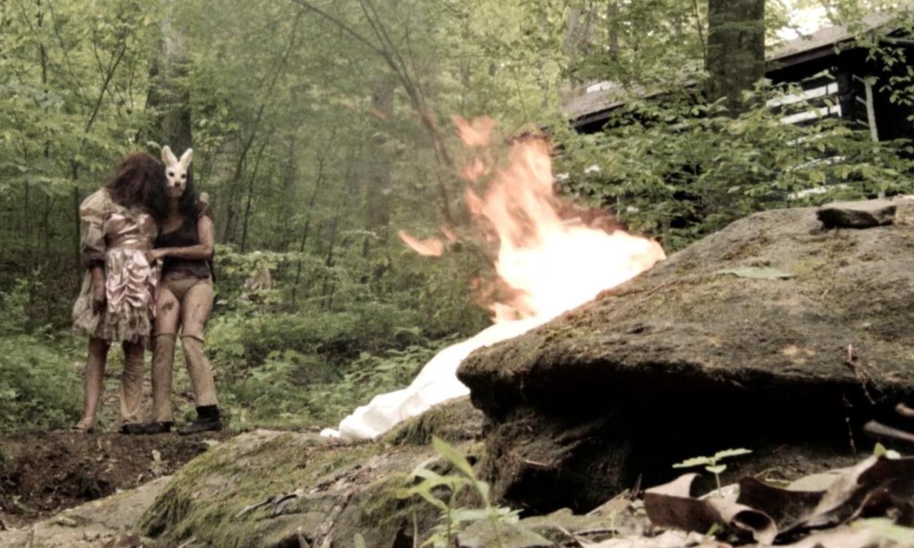 Plank Face - Where to Watch and Stream Online – Entertainment.ie